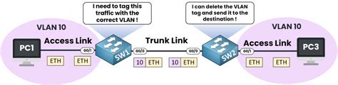 802 1q trunking explained