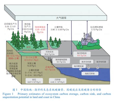 中国生态系统碳汇功能提升的技术途径：基于自然解决方案 中关村绿色碳汇研究院