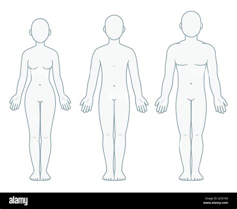 Adult Male Female And Unisex Body Chart Front View Blank Adult Human