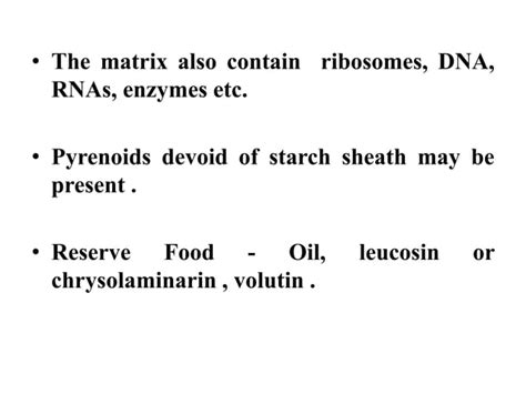 General Characters Of Bacillariophyceae And Pinnularia Smg Pptx
