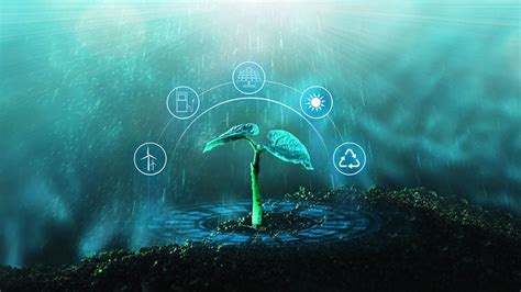 Transgenic Plants Applications Examples And Methods Inside Telecom Inside Telecom