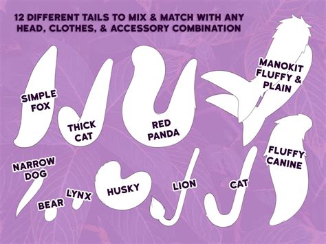 13 Species Furry Reference Sheet Base Kit Psd File Etsy