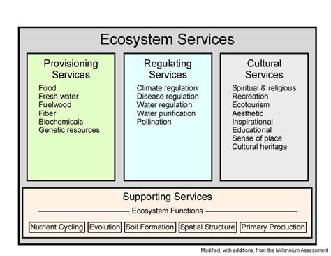 Ecosystem Services