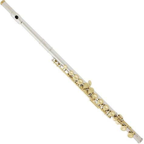 Best Flutes Brands Beginners Guide And Top 6 Flute Reviews 2020