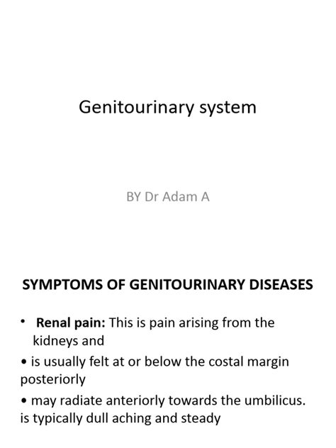 Genitourinary System Pdf Urinary System Clinical Medicine