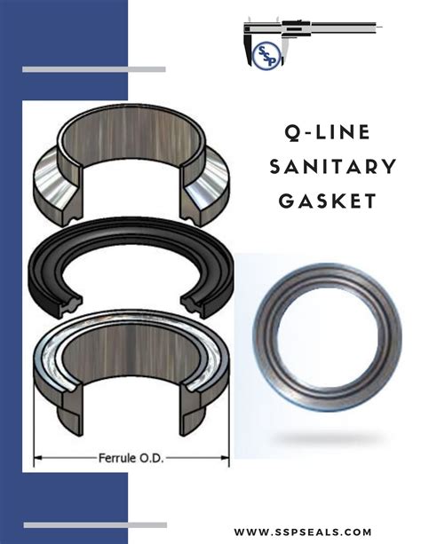 Sanitary Gaskets At Ronald Alvarez Blog