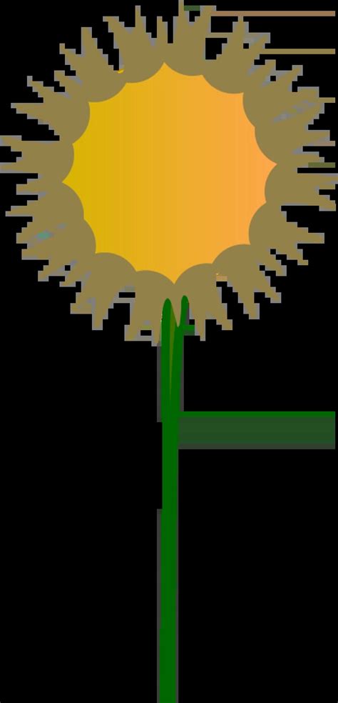 Thistle Flower Free Vector Download Freeimages