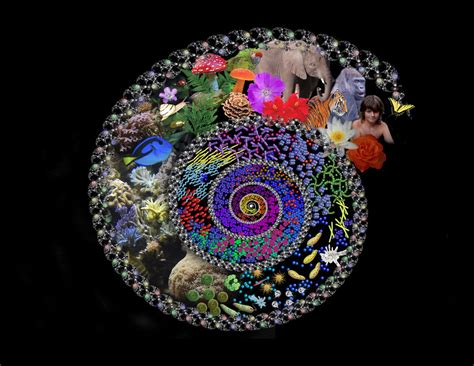 The Evolution Of Life In Its 4540 Million 454 Billion Years Circling