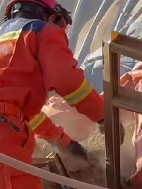 柳宗元《种树郭橐驼传》朗读，从种树之礼到为官之道，古文观止文化文学好看视频