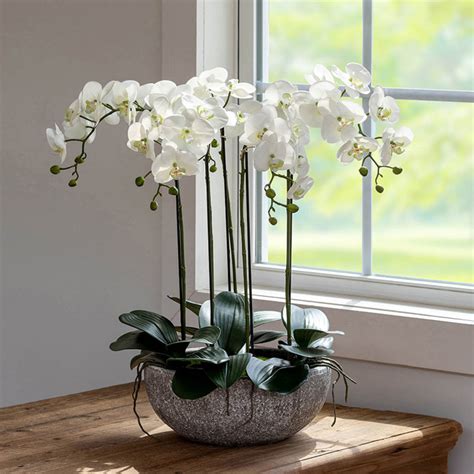 Modern Classic And Seasonal Home Accents The Company Store