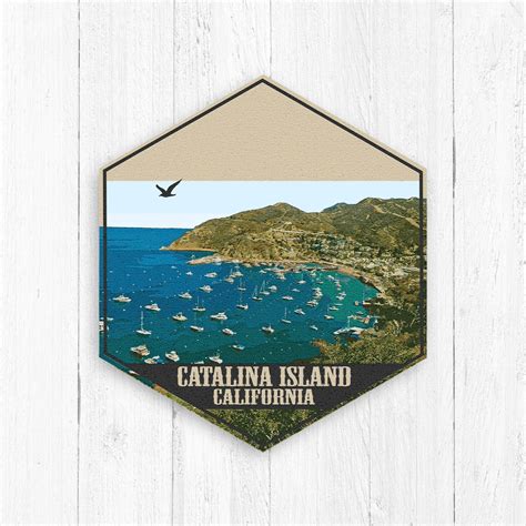 Catalina Island California Hexagon Illustration Catalina Island