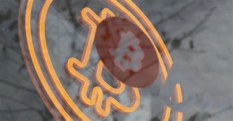 9만달러 돌파 비트코인 광풍에 알트코인도 급등묻지마 투자 주의보