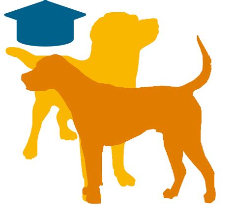 Vet Certified Applied Anatomy Course With Book En Vahlvet