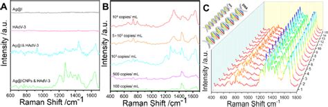 A Sers Spectra Of Hadv 3 Genome In Different Enhanced Systems Sers