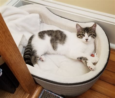 Napping Album On Imgur