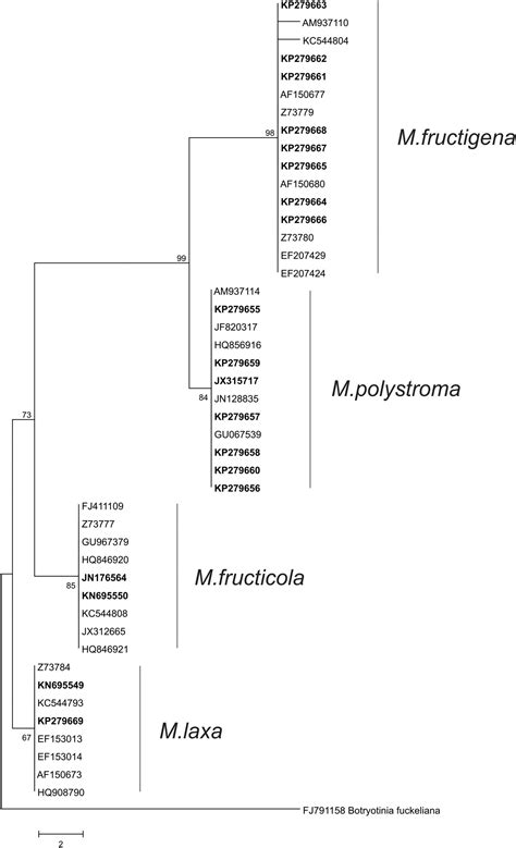 Distribution And Characterization Of Monilinia Spp Causing Apple Fruit