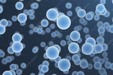 Blue Cells Illustration Stock Image F0215273 Science Photo Library