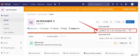 如何用jenkins和gitlab实现CICD 云计算 亿速云
