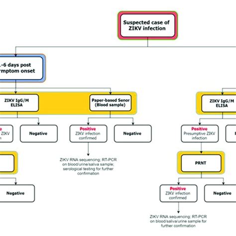 Sylvaticenzootic And Urban Transmission Cycle Of Zikv Redrawn Based