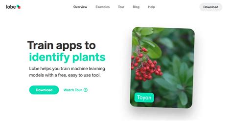 Lobe Create Your Own Machine Learning Models Shaun John Digital