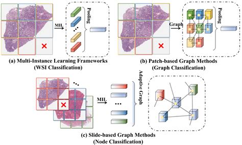 논문 리뷰 Slide Based Graph Collaborative Training For Histopathology Whole Slide Image Analysis