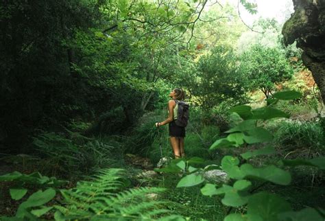 The Very Best Of Skiathos In 6 Days Discover Greece