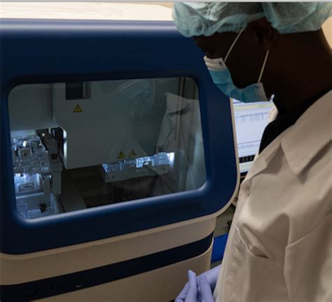 Crime Stats Massive Dna Backlog Finally Cleared Cele Confirms