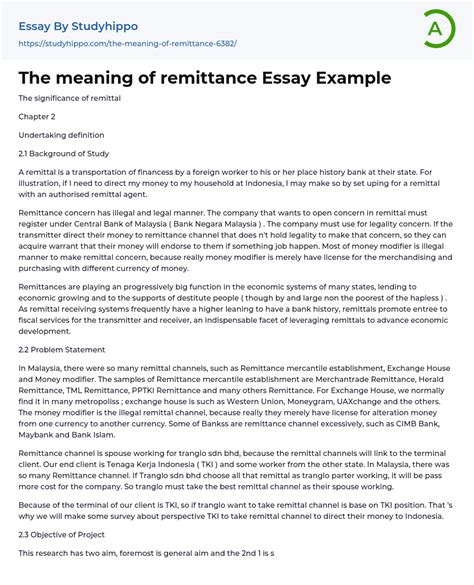 The Meaning Of Remittance Undertaking Definition Essay Example