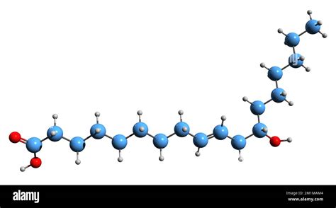 3d Image De La Formule Squelettique De Lacide Ricinoléique Structure