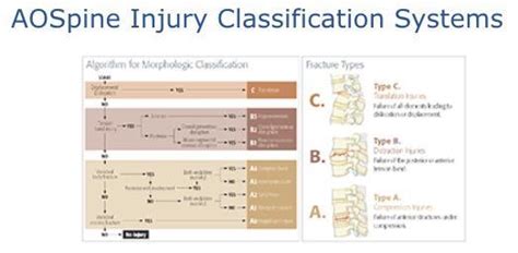 Babak Shariati On Linkedin Aospine Subaxial Classification System And