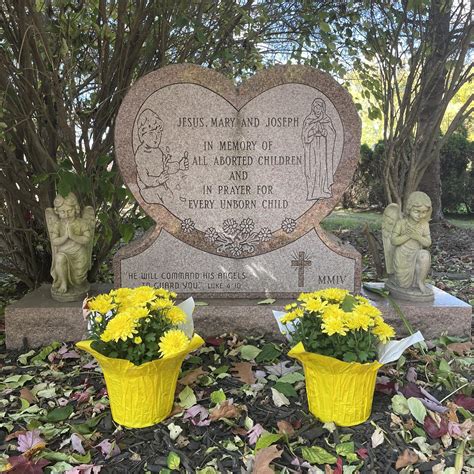 Holy Where To Watch Pope Francis Funeral Mass Live~ Pope Francis Solemn Funeral Mass Will Be