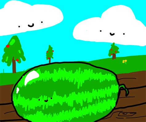 Watermelon Drawception