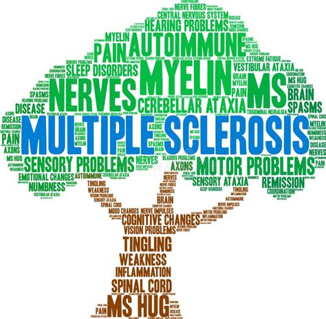 Multiple Sclerosis Word Cloud Stock Vector Illustration Of Cerebellar