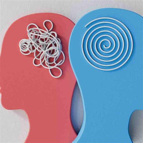 Chaussure De Barouk Quest Ce Que Cest