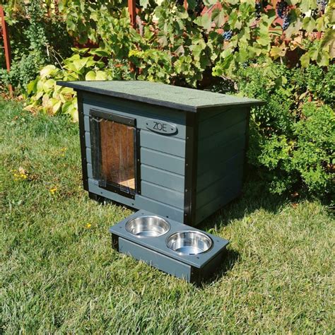 Cusca De Caine A Lui Zoe