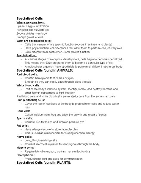 2 9 Specialized Cells Notes Specialized Cells Where We Came From Sperm Egg