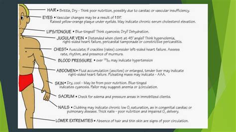 Cardiovascular And Peripheral Assessmentpptx