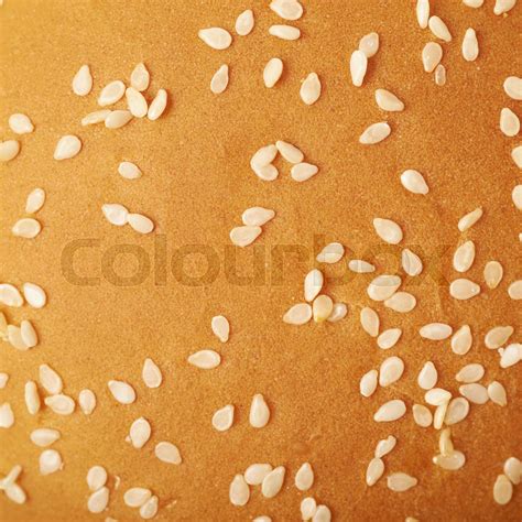 Burger Bun Texture Fragment Stock Image Colourbox