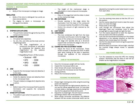 Prelim Happ Lab Lesson 1 Microscope Human Anatomy And Physiology