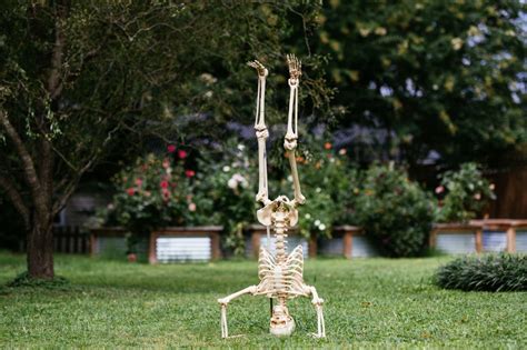 Funny Skeleton Poses For Halloween Decorating Ideas For Posable And