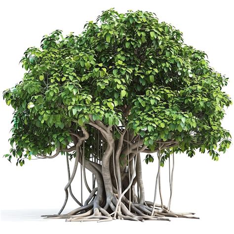 Peepal Tree Indian Illustration Realistic Premium Ai Generated Psd