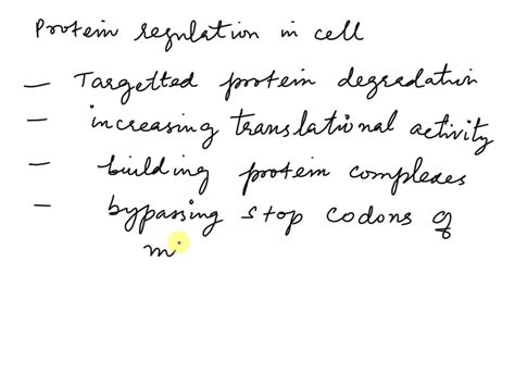 Solved If You Wanted To Decrease The Activity Of A Specific Protein In A Cell Which Of The