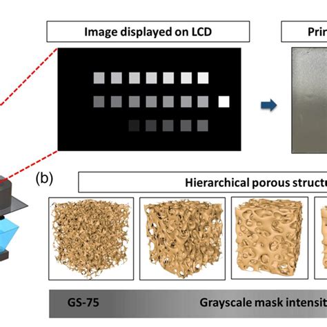 Grayscale Dlp Concept A In Grayscale Dlp 3d Printing An Image Download Scientific Diagram
