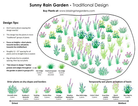 Pollinator Garden Kit 72 Plants — Blazing Star Gardens