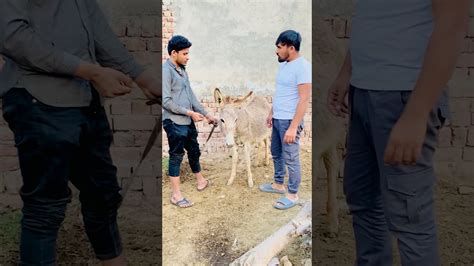 Honeymoon With Khoti 😂🤣 Viralfunny Comedy Foryou Newcontent