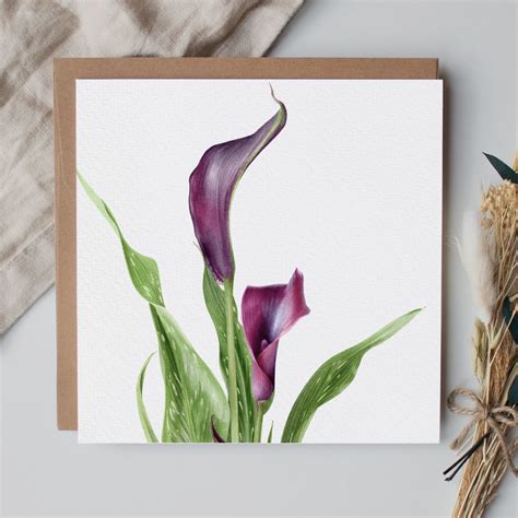 Calla Lily Greeting Card Egle Kolev Art