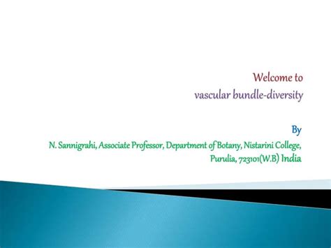 Types Of Vascular Bundles Pdf