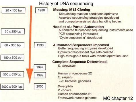 Ppt Dna Sequencing Methods Powerpoint Presentation Free Download