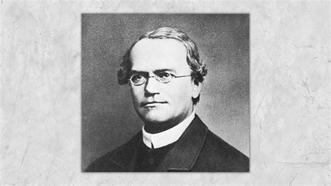 Genética A Través De La Historia