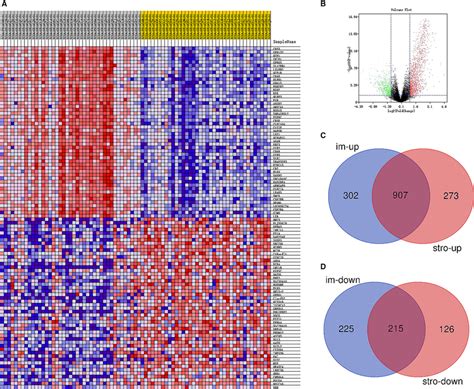 Comparison Of Gene Expression Profiles With Immune Scores And Stromal Download Scientific